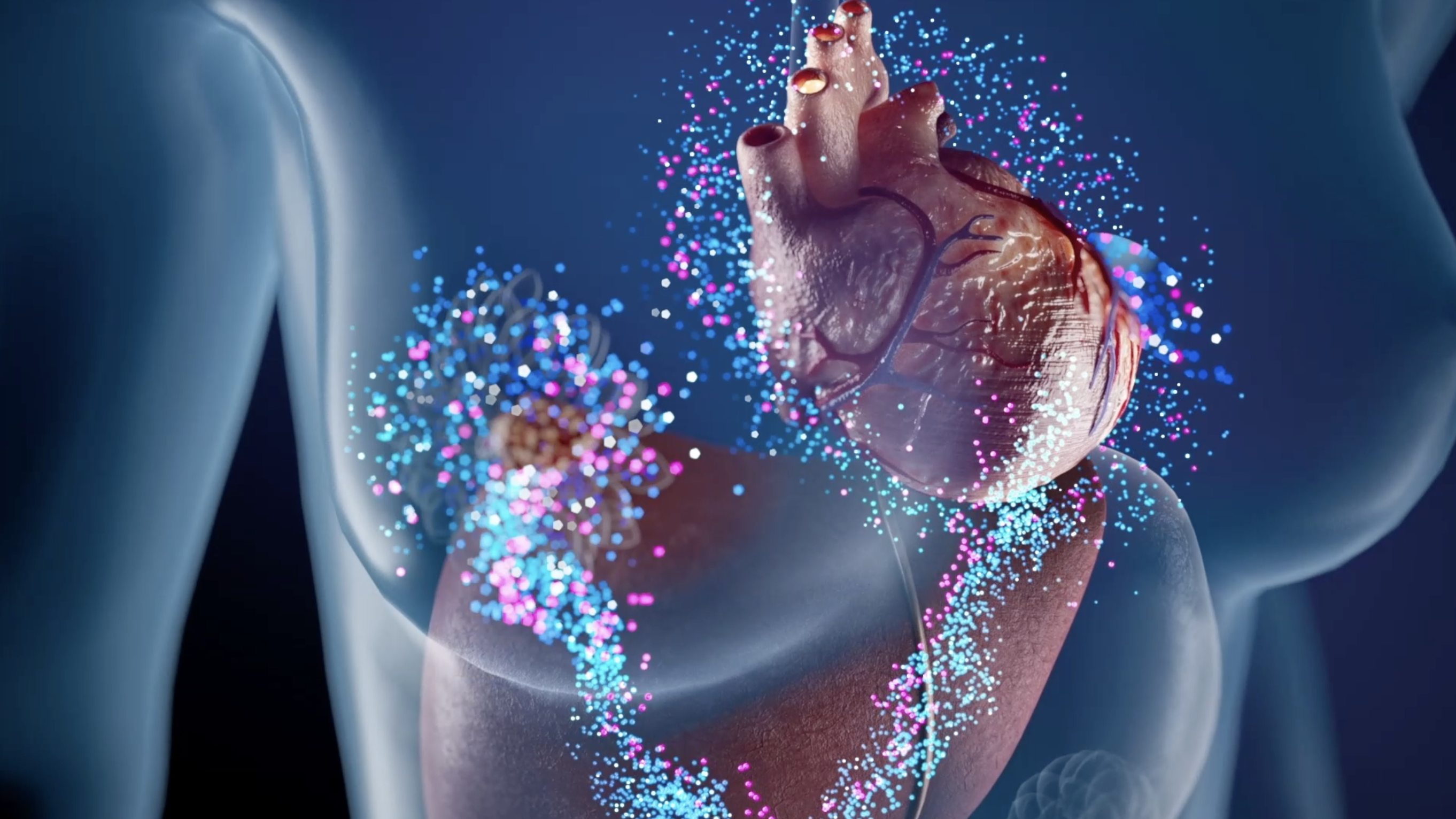 Creating essential communication assets for Fluosphera