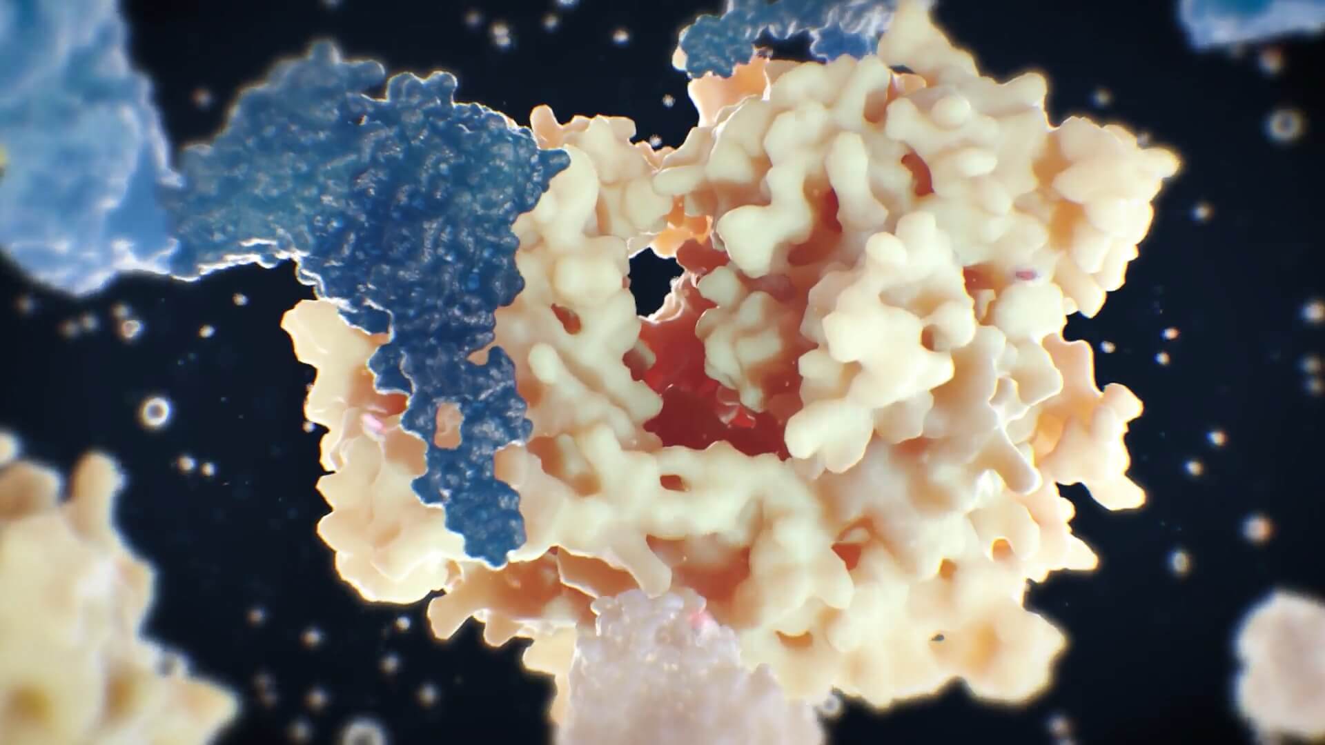 MoA animation and looped animation for the website